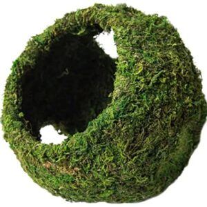 Galapagos 05344 Mossy Cave with Holes for Aquarium, 7.5", Green (759834053446)