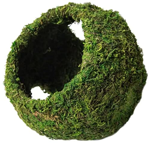 Galapagos 05344 Mossy Cave with Holes for Aquarium, 7.5", Green (759834053446)