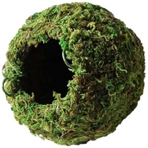 Galapagos 05344 Mossy Cave with Holes for Aquarium, 7.5", Green (759834053446)