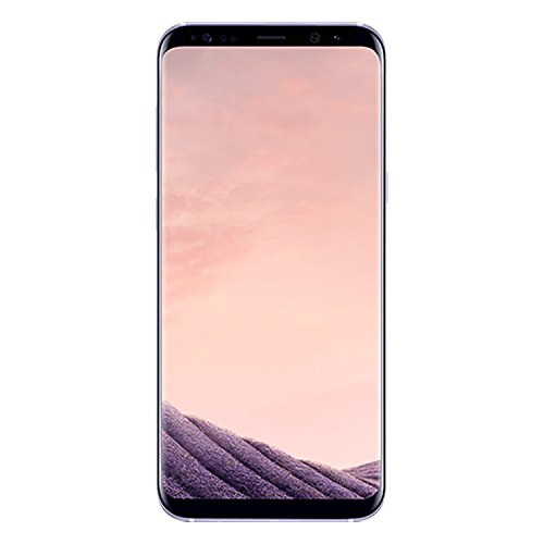 Samsung Galaxy S8+ 64GB Unlocked Phone - 6.2" Screen - International Version (Orchid Gray)