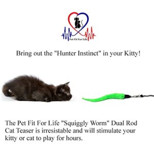 Pet Fit For Life Cat Wand Toy: 5-Piece Worm Teaser & Exerciser - Durable Flirt Pole/Cat Teaser Toy – Interactive Fun for Feline Fitness