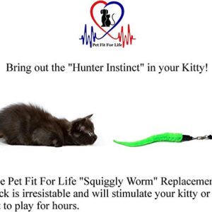 Pet Fit For Life 5 Piece Replacement Pack of Worms for Interactive Cat and Kitten Toy Wands