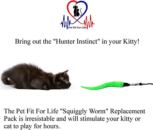 Pet Fit For Life 5 Piece Replacement Pack of Worms for Interactive Cat and Kitten Toy Wands