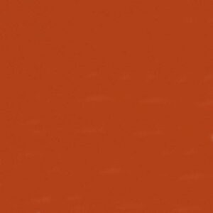 Burnt Orange Cardstock - 8.5 x 11 inch - 65Lb Cover - 50 Sheets - Clear Path Paper