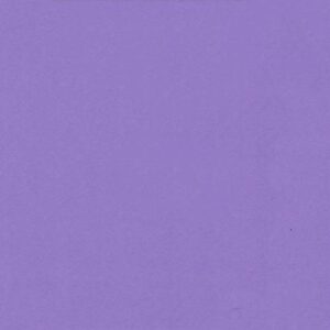 Grape Purple Cardstock - 8.5 x 11 inch - 65Lb Cover - 50 Sheets - Clear Path Paper