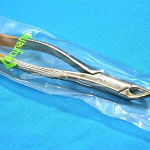 New Heavy Duty Premium German Dental Extracting Extraction Forceps No 150 Dental Instruments Extracting Forceps