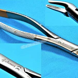 New Heavy Duty Premium German Dental Extracting Extraction Forceps No 150 Dental Instruments Extracting Forceps