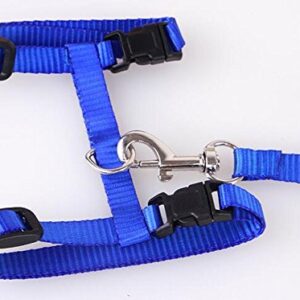 Gozier Pet Lead Leash Halter Harness Adjustable Safety Nylon Rope Strap Belt for Dog Cat Kitten (Blue)