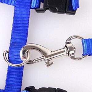 Gozier Pet Lead Leash Halter Harness Adjustable Safety Nylon Rope Strap Belt for Dog Cat Kitten (Blue)