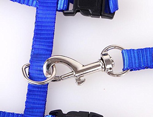 Gozier Pet Lead Leash Halter Harness Adjustable Safety Nylon Rope Strap Belt for Dog Cat Kitten (Blue)