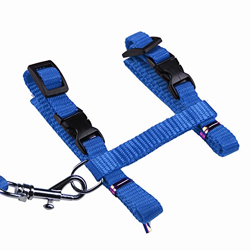 Gozier Pet Lead Leash Halter Harness Adjustable Safety Nylon Rope Strap Belt for Dog Cat Kitten (Blue)