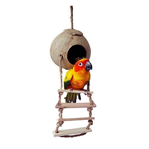 Natural Coconut Hideaway Birds Toys Decorative Bird Nest Cage House with Ladder