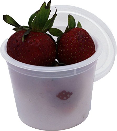 Vito's famous Deli Container with Lid, 4 Ounce (Pack 50)