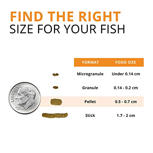 Fluval Bug Bites Goldfish Fish Food, Pellets for Medium to Large Sized Fish, 3.53 oz, A6584