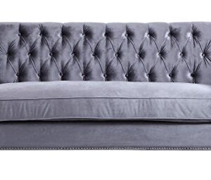 Iconic Home Grey Dylan Velvet with Silver Nail head Trim Round Acrylic Feet Sofa