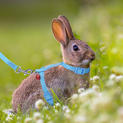 2 Pack Rabbit Harness Leash - Persuper Bunny Cat Leash Adjustable Soft Nylon Small Animal Harness Set for Walking Running Outdoor Use with Safe Bell for Puppy Dog, Pig, Kitten, Ferret, Mini Pet