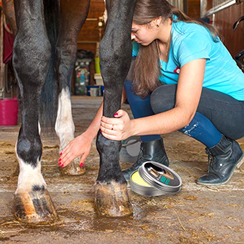 The Blissful Horses Hoof Butter All Natural Support for Your Horse's Hooves, 2-Ounce