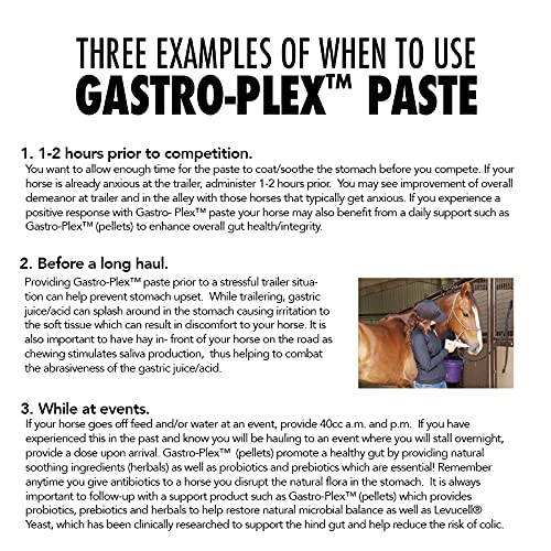 Med-Vet Pharmaceuticals Gastro-Plex Paste 5-Pack (10 doses) Gastric Stress Relief Paste for Horses