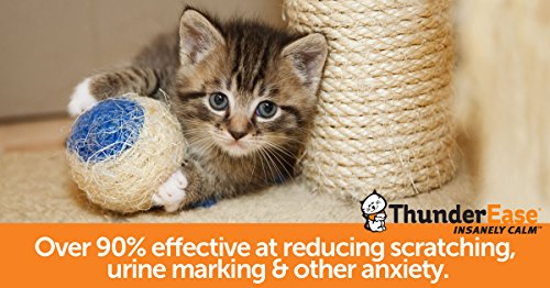 ThunderEase Cat Calming Pheromone Diffuser Refill | Powered by FELIWAY | Reduce Scratching, Urine Spraying, Marking, and Anxiety (60 Day Supply)