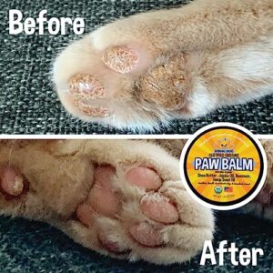 Organic Paw Balm for Dogs & Cats | All Natural Soothing & Healing for Dry Cracking Rough Pet Skin | Protect & Restore Cracked and Chapped Dog Paws & Pads | Better Than Paw Wax (Paw Balm, 2 oz)