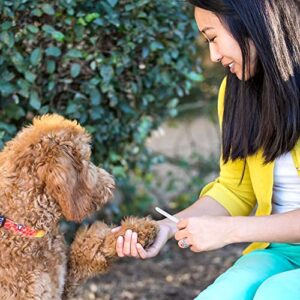 Small Dog Nail File Paw Grooming, Trimming & Shaping, Gentle, Painless Pet Nail Filer for Claws & Paws, Ideal for Small Dogs, Cats, Birds - Premium Czech Glass Bona Fide Beauty