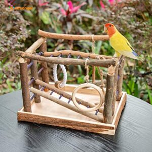 Niteangel Natural Living Playground for Birds, Bird Activity Center