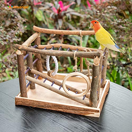 Niteangel Natural Living Playground for Birds, Bird Activity Center