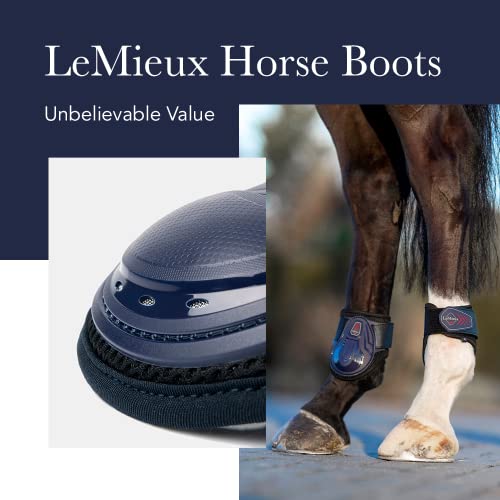 LeMieux Derby Fetlock Horse Boots - Protective Gear and Training Equipment - Equine Boots, Wraps & Accessories - Black - Large