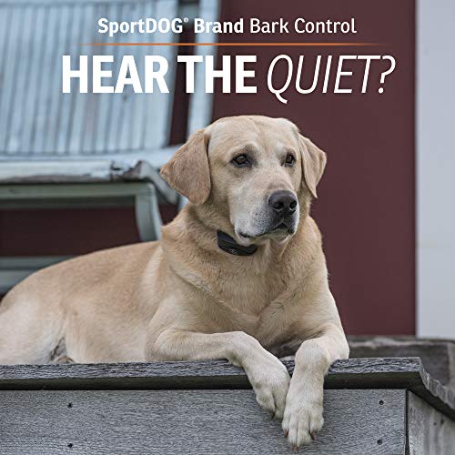 SportDOG Brand NoBark Rechargeable Bark Control Collar - Programmable, Waterproof Bark Collar