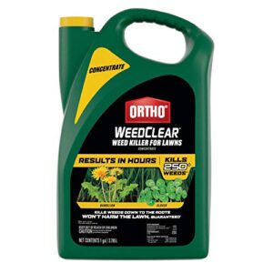 ortho weedclear weed killer for lawns concentrate, kills dandelion, and clover, treats up to 64,000 sq. ft., 1 gal.