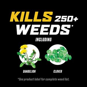 Ortho WeedClear Weed Killer for Lawns Concentrate, Kills Dandelion, and Clover, Treats Up to 64,000 sq. ft., 1 gal.