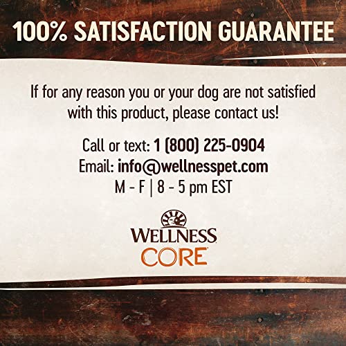 Wellness CORE Natural Grain Free Dry Dog Food, Small Breed Healthy Weight, 4-Pound Bag