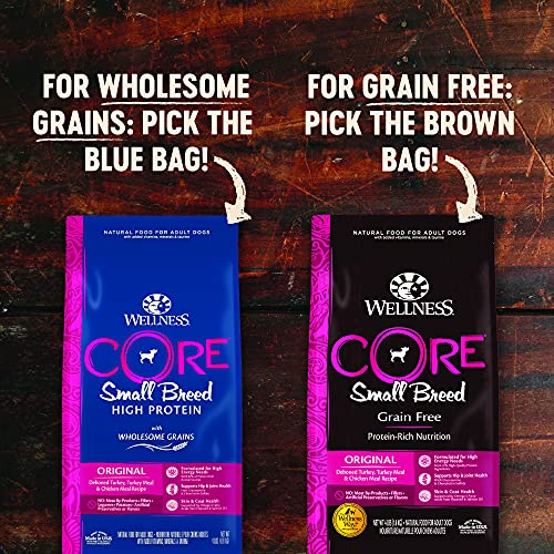 Wellness CORE Natural Grain Free Dry Dog Food, Small Breed Healthy Weight, 4-Pound Bag