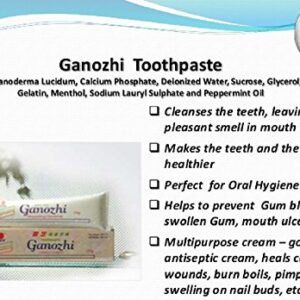 2 Boxes DXN Ganozhi Toothpaste Ganoderma 150g