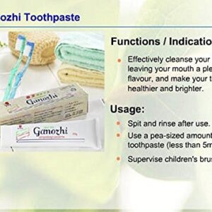 2 Boxes DXN Ganozhi Toothpaste Ganoderma 150g