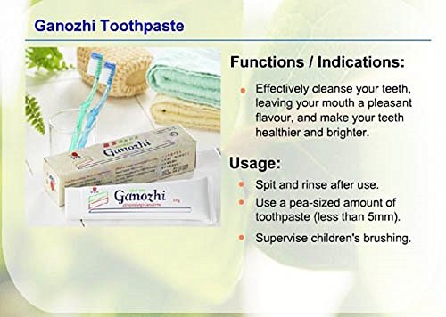 2 Boxes DXN Ganozhi Toothpaste Ganoderma 150g