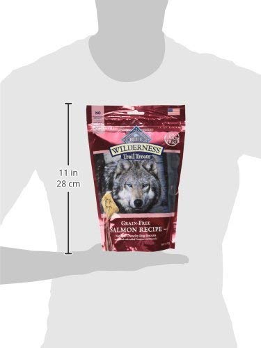 Wilderness Blue Buffalo Trail Treats Grain-Free Dog Biscuits 2 Flavor Variety Bundle: (1) Duck, and (1) Salmon, 10 Ounces