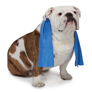 cool pup dog cooling pet towel