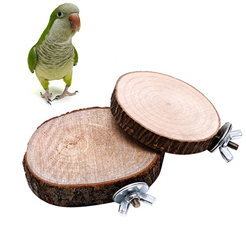 Itemap Pet Parrot Bird Round Wooden Coin Platform Chew Toy for Birdcage Accessories