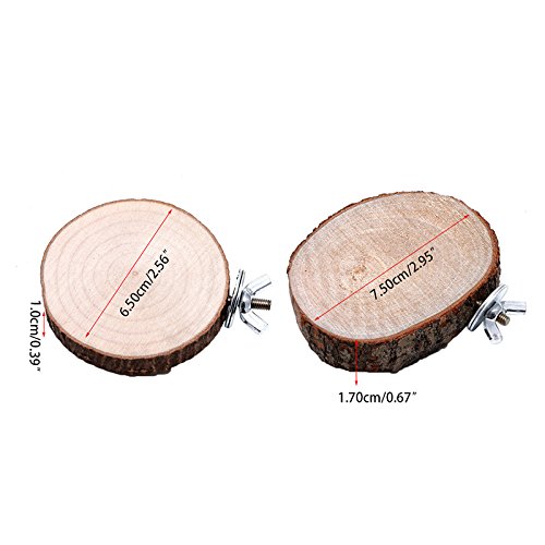 Itemap Pet Parrot Bird Round Wooden Coin Platform Chew Toy for Birdcage Accessories