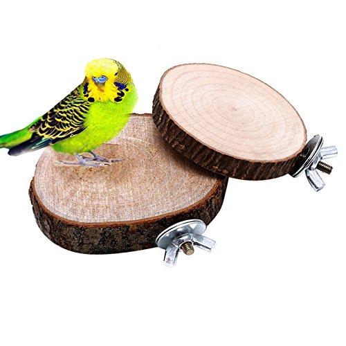 Itemap Pet Parrot Bird Round Wooden Coin Platform Chew Toy for Birdcage Accessories