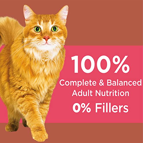 IAMS PROACTIVE HEALTH High Protein Adult Dry Cat Food with Chicken & Salmon Cat Kibble, 13 lb. Bag