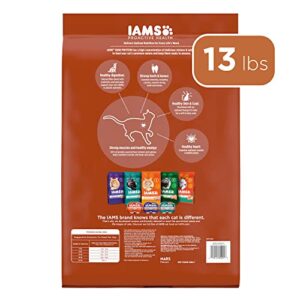 IAMS PROACTIVE HEALTH High Protein Adult Dry Cat Food with Chicken & Salmon Cat Kibble, 13 lb. Bag