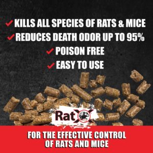 EcoClear Products 620104, RatX All-Natural Non-Toxic Humane Rat and Mouse Pellets, Ready-to-Use Pre-Measured 3 oz. Bait Trays, 2-Pack