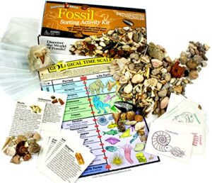 dancing bear fossil collection sorting activity kit with over 100 pcs (more than 20 different fossil varieties!), educational id sheet, color id cards, bags, magnifying glass, and shark teeth