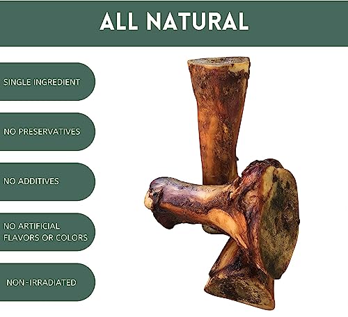 K9 Connoisseur Single Ingredient Dog Bones Made in USA for Large Breed Aggressive Chewers Natural Long Lasting Meaty Mammoth Marrow Filled Champ Bone Chew Treats Best for Dogs Over 50 Pounds 3 Pack