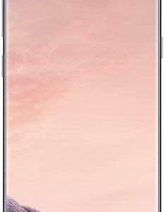 Samsung Galaxy S8 Plus 64GB Orchid Gray AT&T