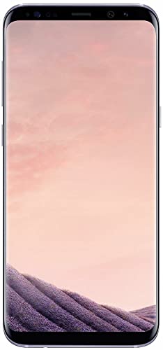 Samsung Galaxy S8 Plus 64GB Orchid Gray AT&T