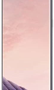 Samsung Galaxy S8 Plus 64GB Orchid Gray AT&T