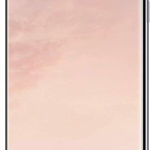 Samsung Galaxy S8 Plus 64GB Orchid Gray AT&T